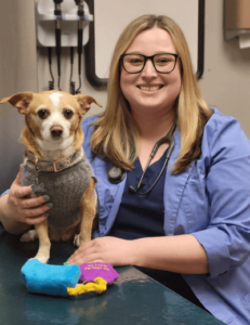 Colleen Andrews, D.V.M. - Shiloh Veterinary Hospital