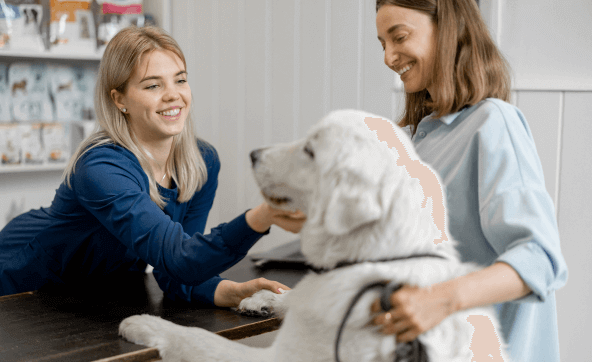About Us - Shiloh Veterinary Hospital